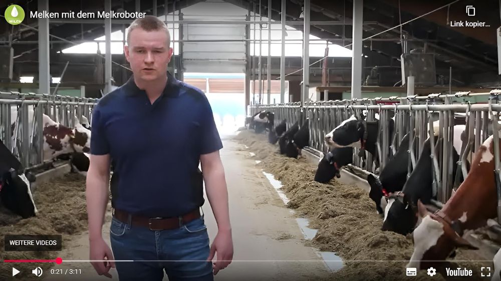Der Melkroboter – So hilft er den Kühen!