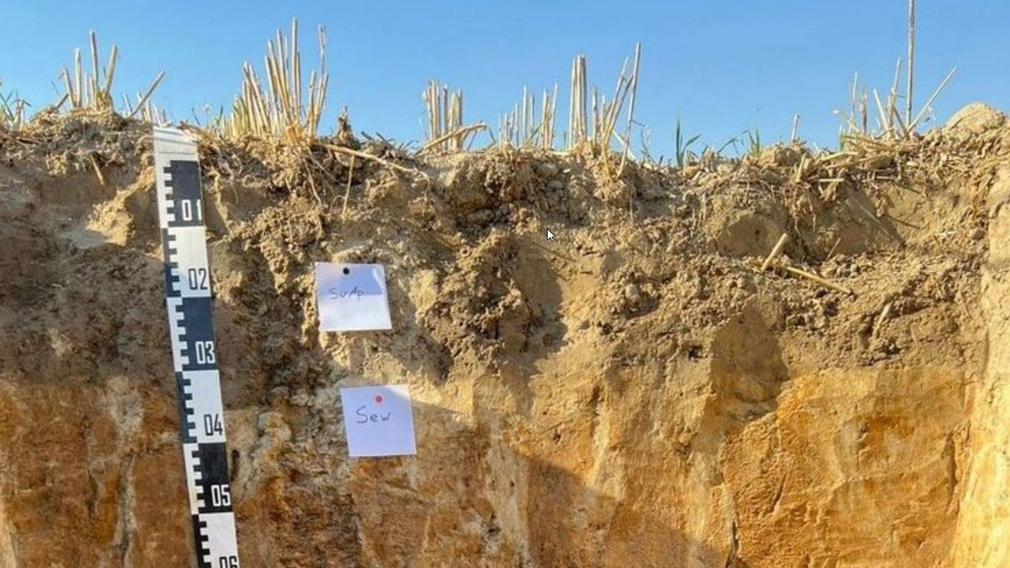 Bodentypen einfach erklärt – Welche gibt es?